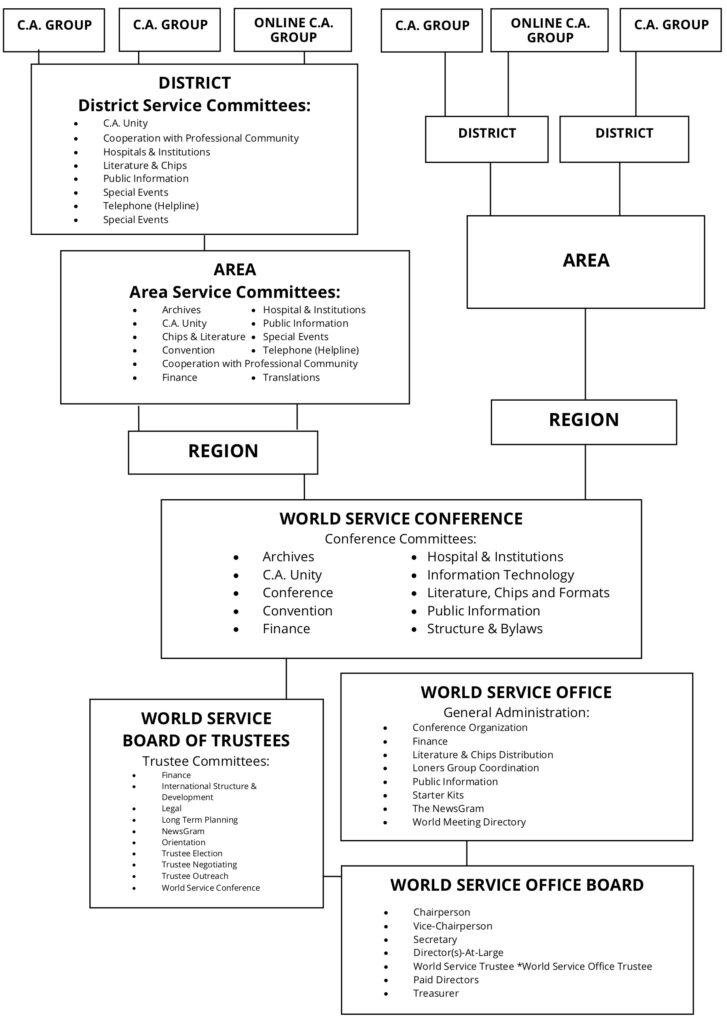C.A. Service Structure – The C.A. Service Sponsorship Group
